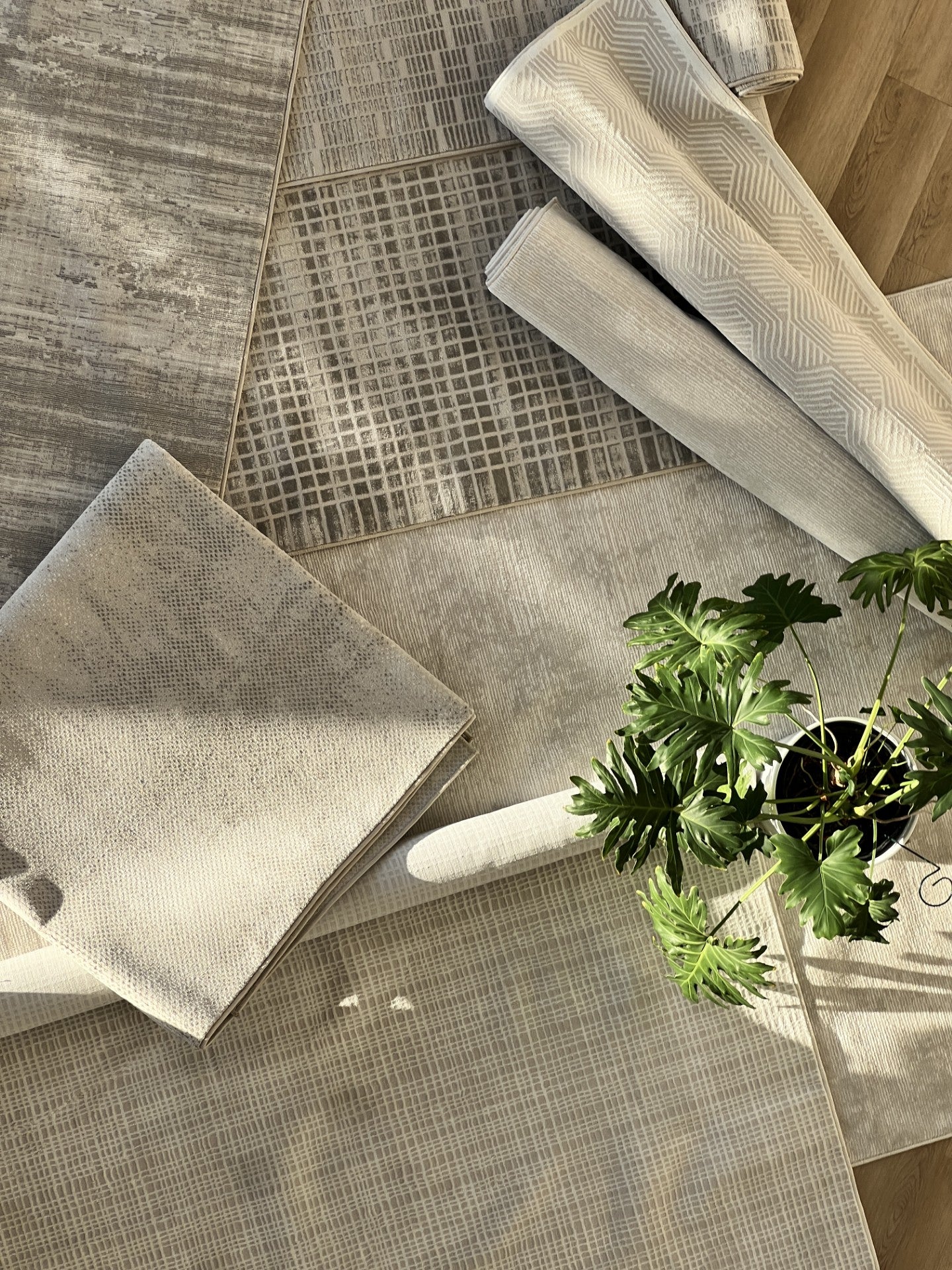 Area Rugs & Runners | Area Rug Shop | Shop Online or In-Store | Canada